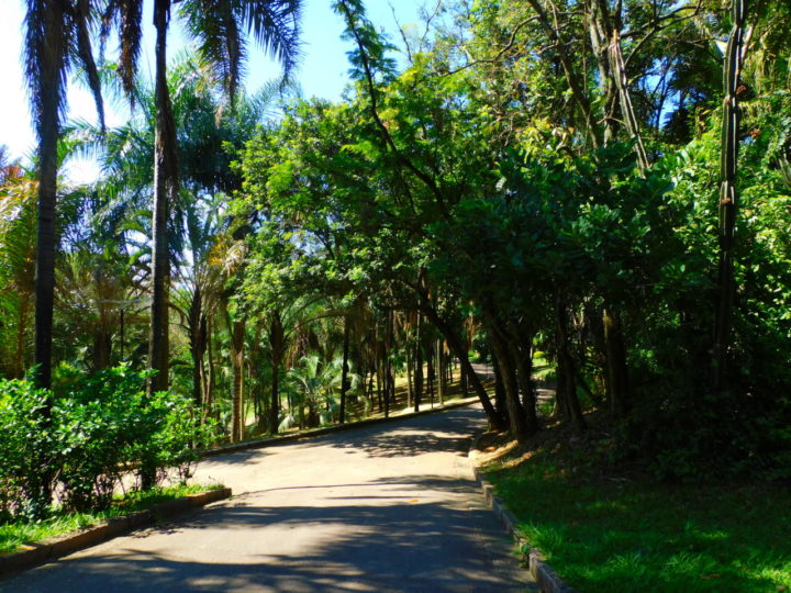 Trilhas e Paisagens | Jardim Botânico Jundiaí